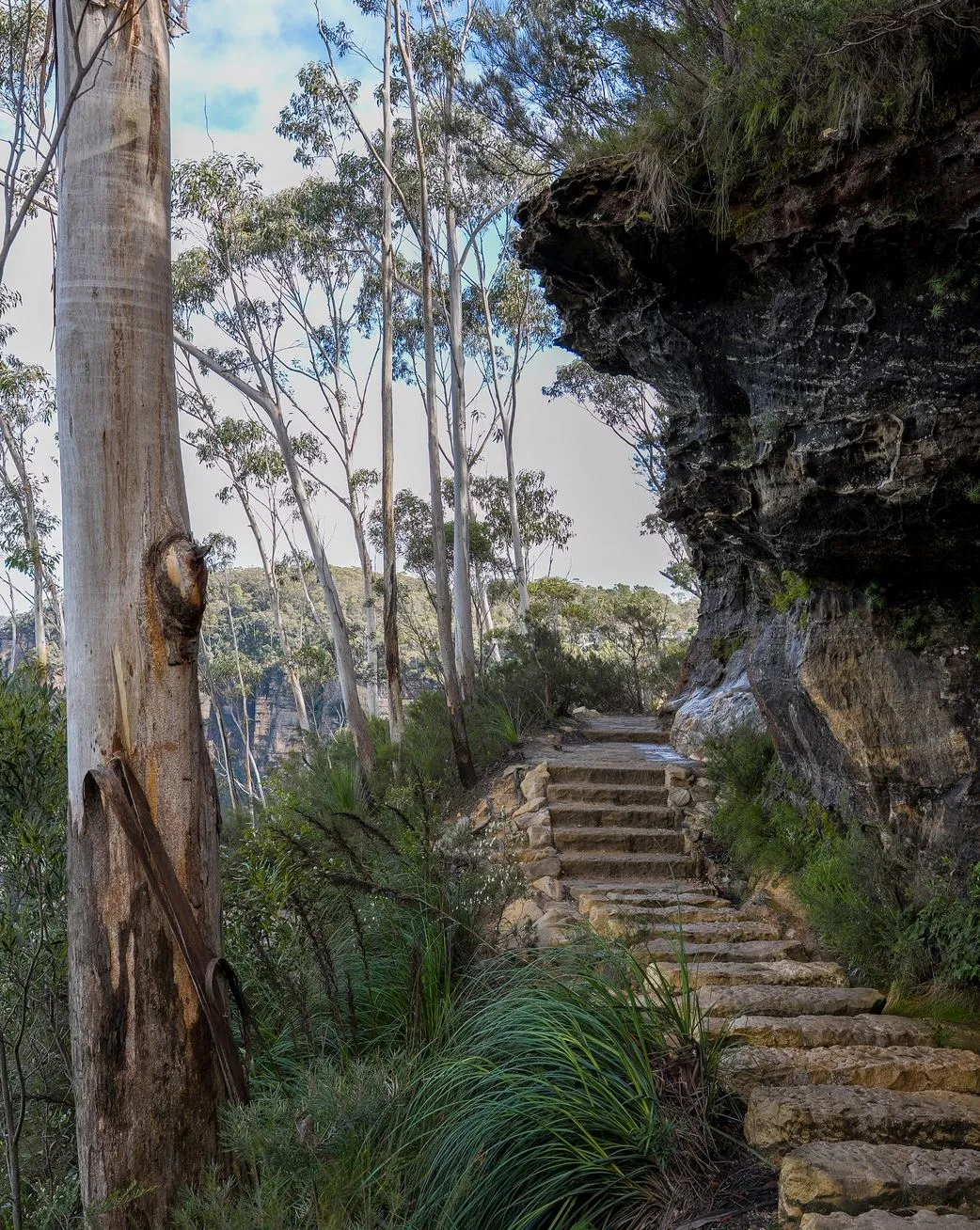 Blue Mountains Travel Mistakes to Avoid